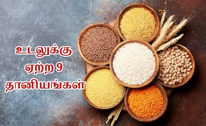 உடலுக்கு ஏற்ற 9 சிறுதானியங்கள் | Health Benefits of Millets in Tamil