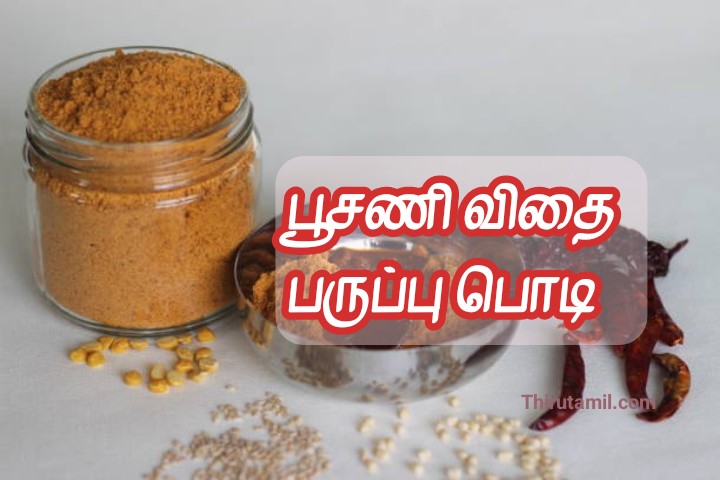பூசணி விதை பருப்பு பொடி | Poosani Vidhai Paruppu Podi Recipe in Tamil