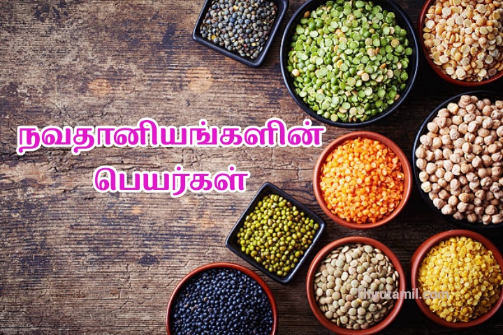நவதானியங்கள் பெயர்கள் | Navadhanya Grains List in Tamil
