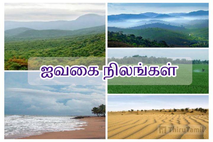 ஐவகை நிலங்கள் பற்றிய முழு வரலாற்று தொகுப்பு | Ivagai Nilangal In Tamil