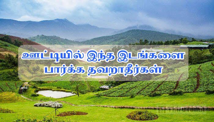 ஊட்டிக்கு சுற்றுலா, பார்க்க வேண்டிய 50 இடங்கள் | Ooty Tour Guide